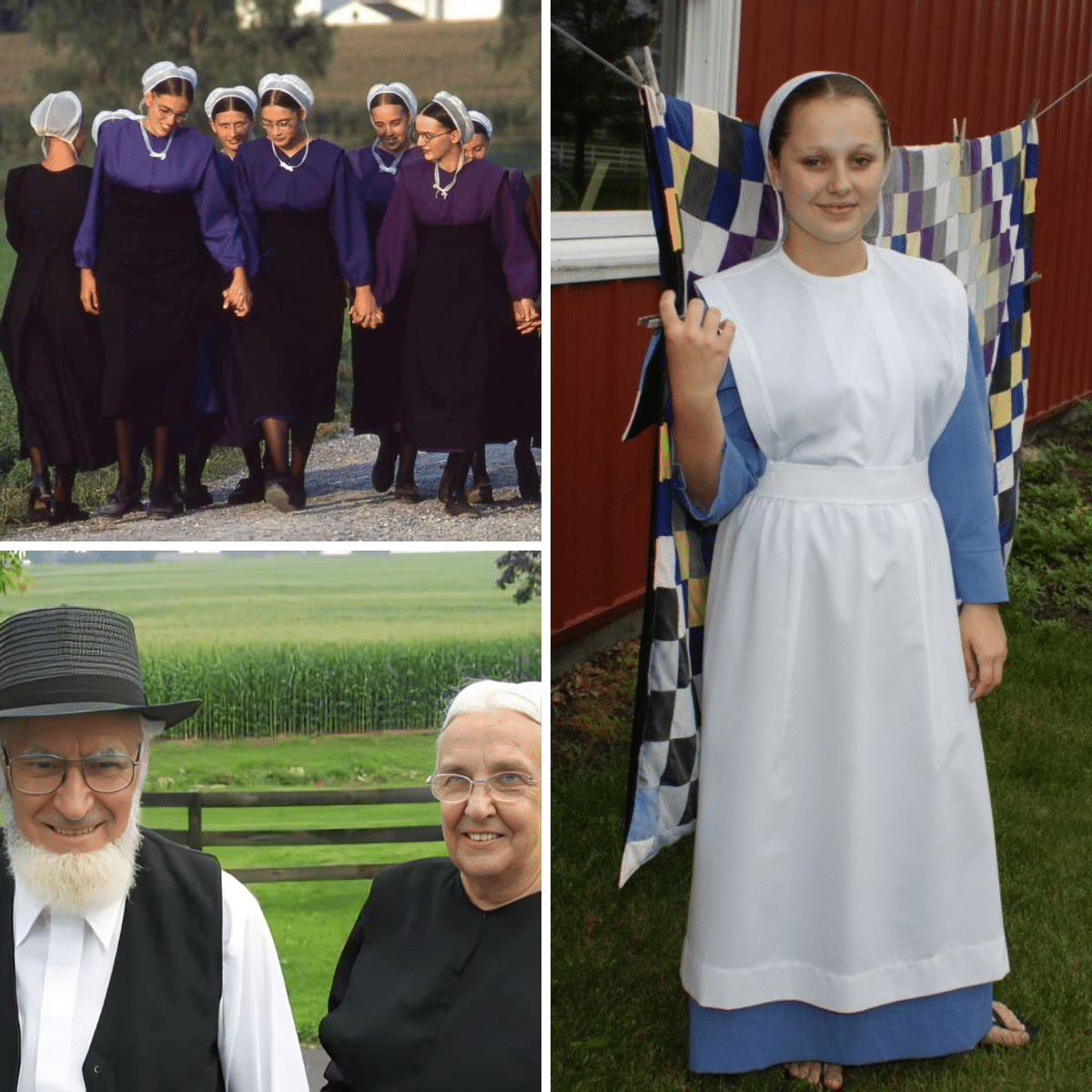 Intriguing Facts That Give Us a Rare Glimpse Into the Amish Way of Life